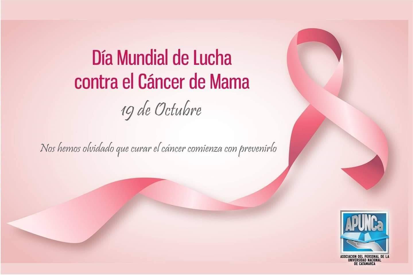19 De Octubre Dia Mundial De La Lucha Contra El CÁncer De Mamas Apunca